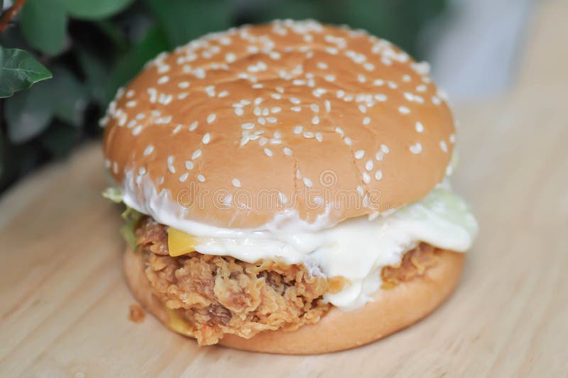 Chicken Burger or Hamburger, Bread with Stuffed Stock Image - Image of ...