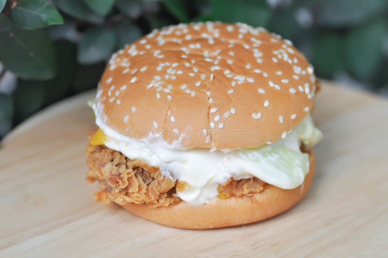 Chicken Burger or Hamburger, Bread with Stuffed Stock Image - Image of ...