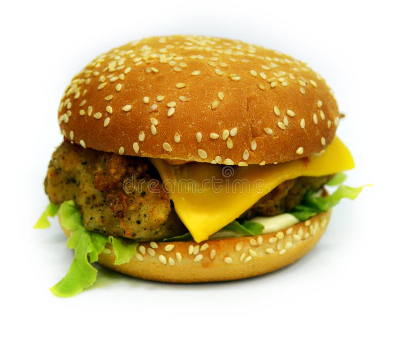 Chicken Burger / Sandwich stock image. Image of lettuce - 87077259