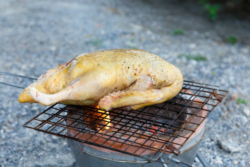 Burn chicken stock photo. Image of grill, travel, food - 42677156