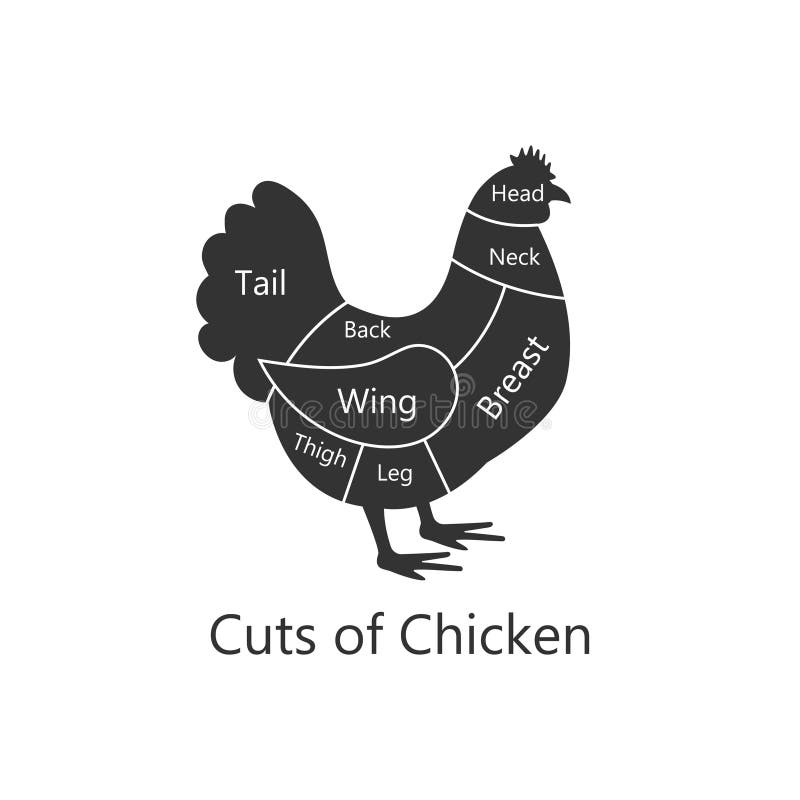 Chicken Butchery Diagram. Cuts of Chicken. Perfect for Restaurant Menus ...