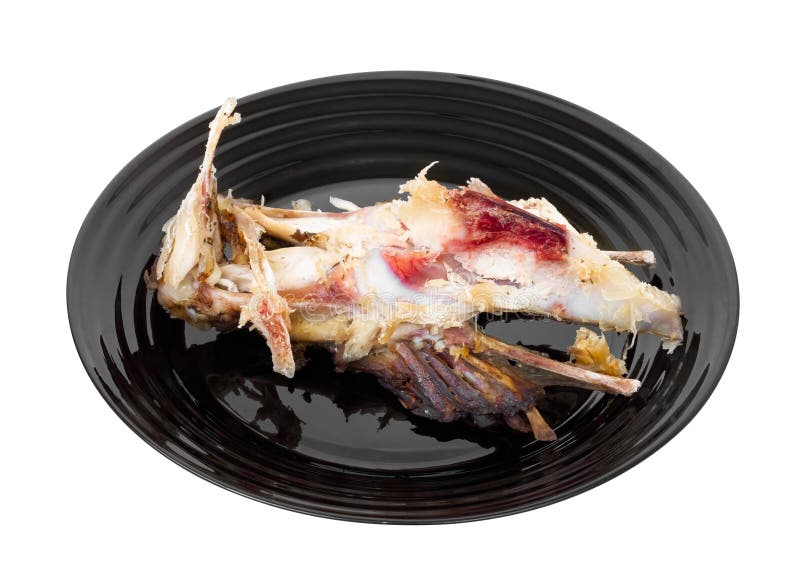 Chicken Carcass on a Black Plate. Chicken Bones Stock Image - Image of ...