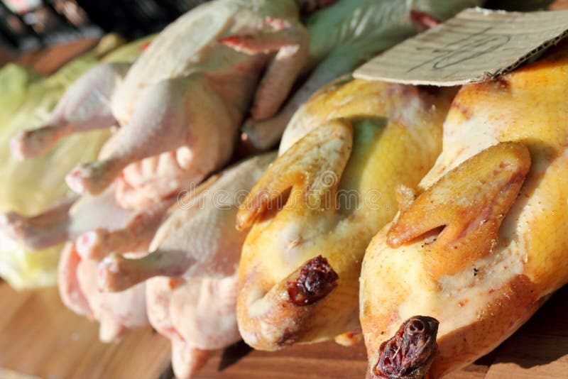 Chicken carcass home stock image. Image of carcass, soft - 69052753