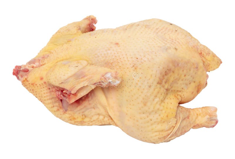 Chicken Carcass Isolated on a White Stock Photo - Image of ingredient ...