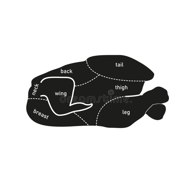 Chicken Carcass. Simple Vector Illustration Stock Vector - Illustration ...
