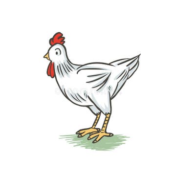 Cartoon Chicken Profile Stock Illustrations – 838 Cartoon Chicken ...