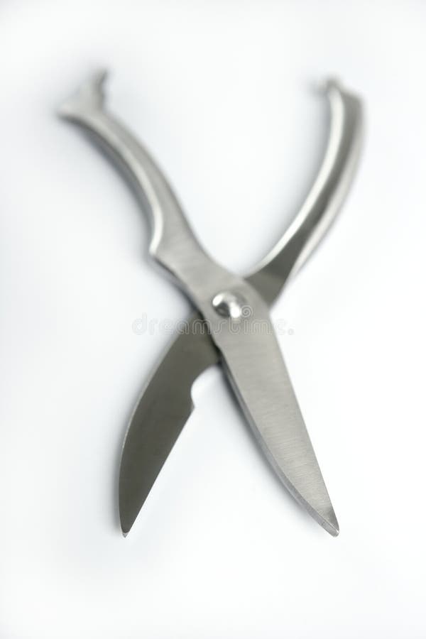 Chicken carving scissors stock photo. Image of office - 7535998