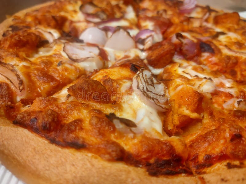 Chicken cheese onion pizza stock image. Image of size - 234538615