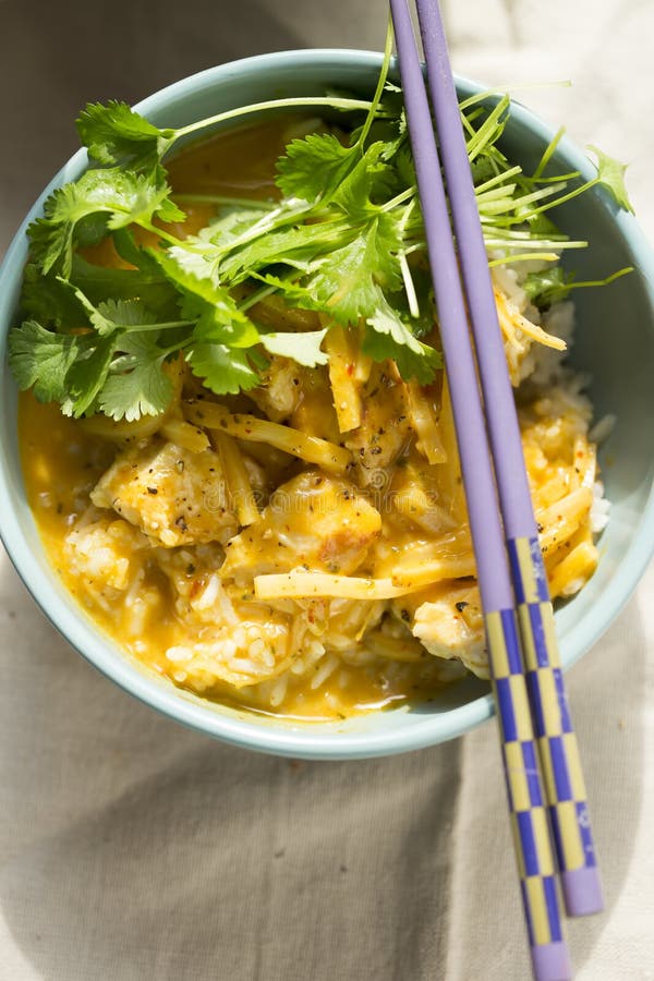 Chicken Curry with Mango and Coriander and Rice Stock Photo - Image of ...