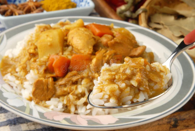 Chicken Curry and Rice stock photo. Image of pepper, indian - 18652768