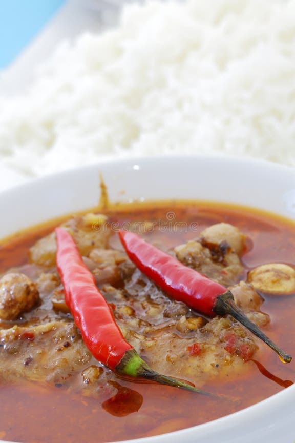 Chicken Curry with rice stock photo. Image of asia, food - 22094920