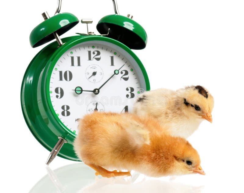 128 Fuzzy Clock Stock Photos - Free & Royalty-Free Stock Photos from Dreamstime