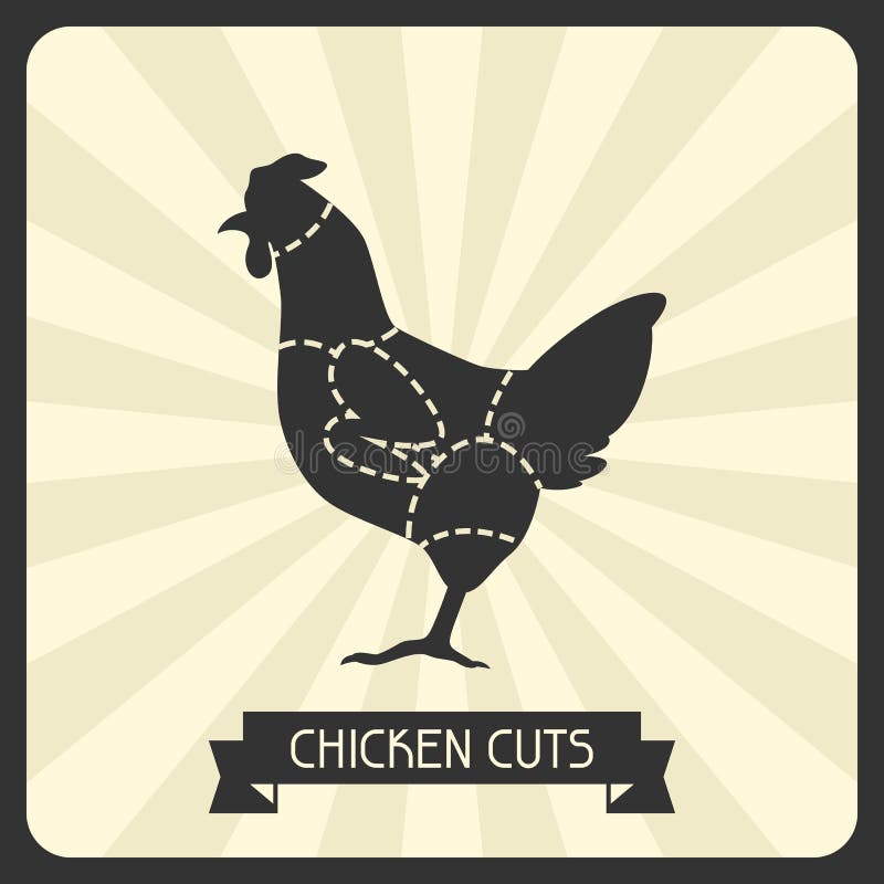 Chicken Cuts. Butchers Cheme Cutting Meat Illustration Stock Vector ...