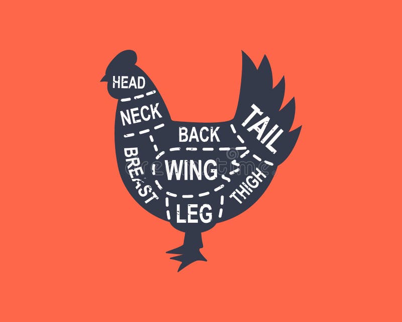 Chicken Diagram Cuts. Butcher Scheme Poster. Cuts of Chicken Meat. Meat ... Chicken Diagram Cuts. Butcher Scheme Poster. Cuts of Chicken Meat. Meat ...