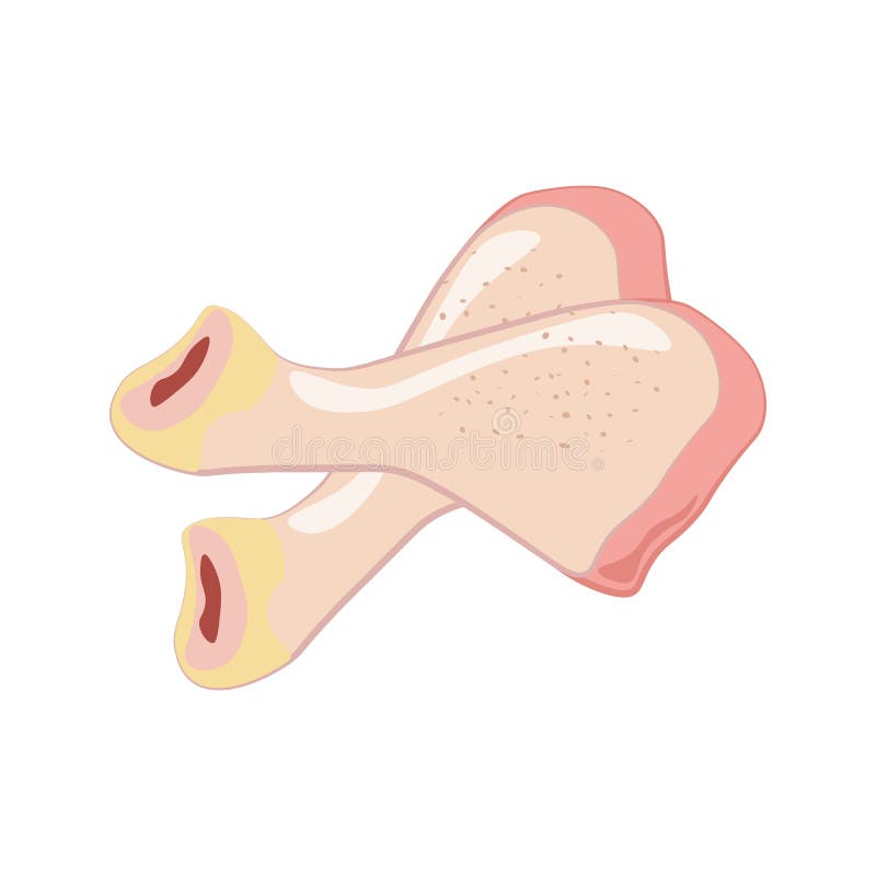 Bird Legs Stock Illustrations – 2,922 Bird Legs Stock Illustrations ...