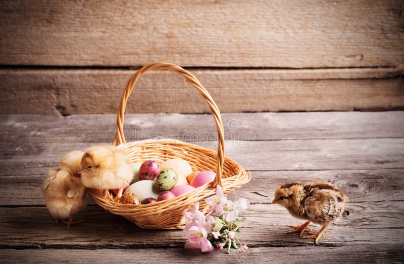 Chicken with Easter eggs stock photo. Image of eggs, chicken - 85589354