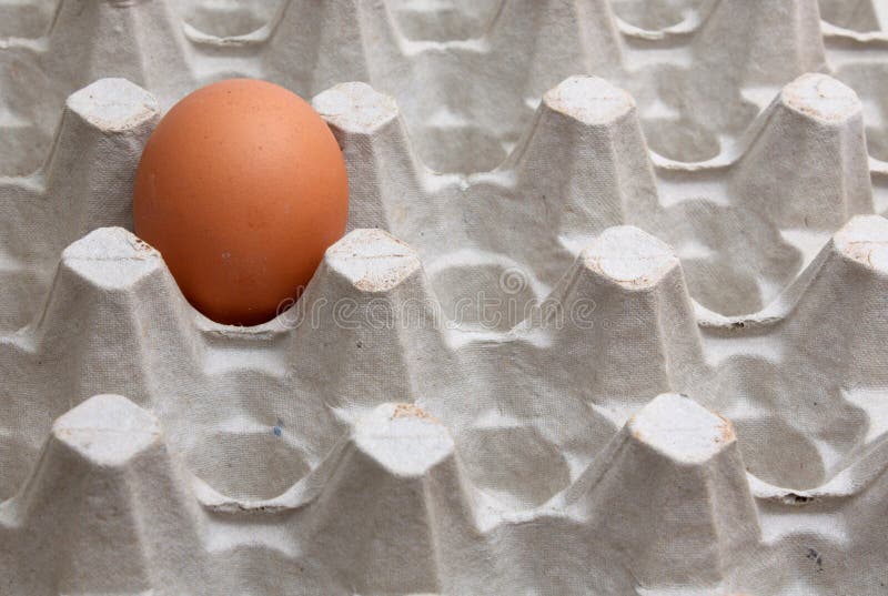 Chicken egg stock photo. Image of life, supermarket, round - 11994586