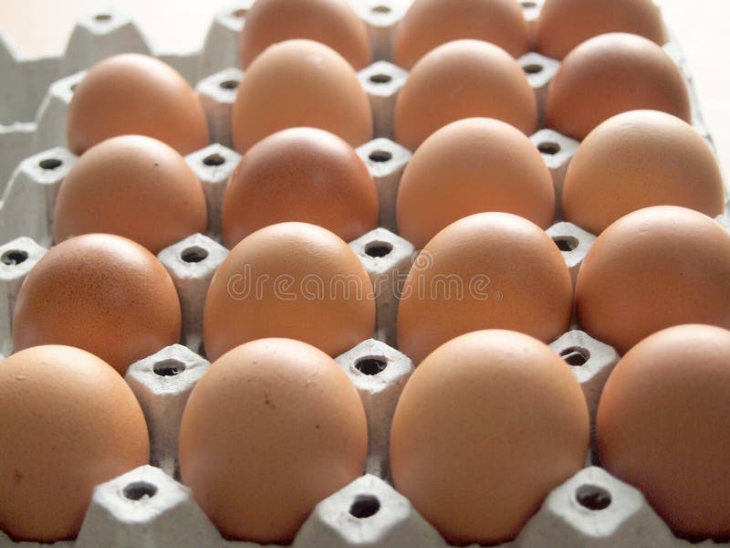 Chicken Egg stock image. Image of preserved, albumen - 187316355