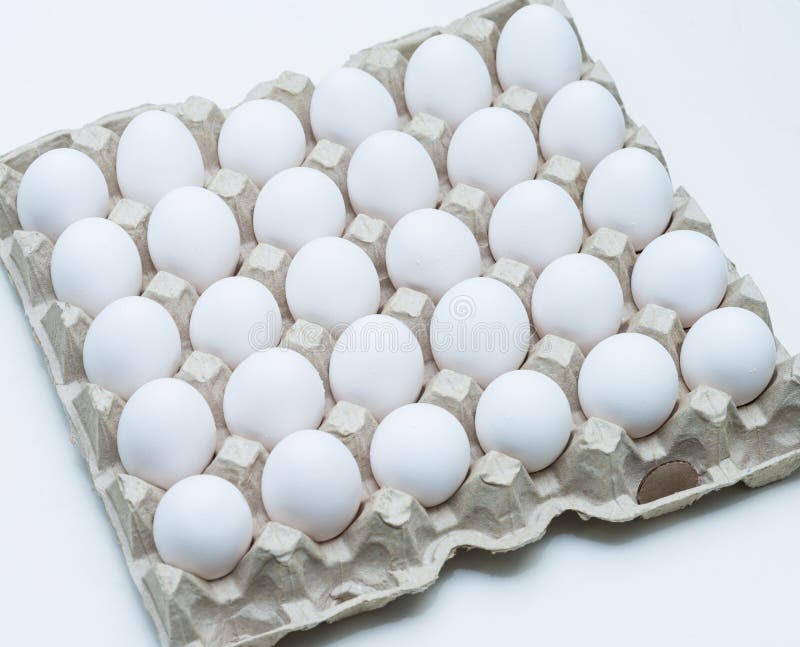 Chicken egg stock image. Image of groceries, packing - 28507415