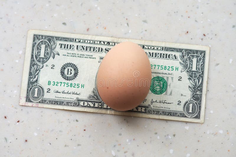 A Chicken Egg Against the Backdrop of a One Dollar Bill. Copy Space ...