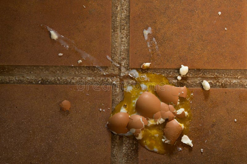The Chicken Egg Fell To the Ground and Cracked. Stock Image - Image of ...