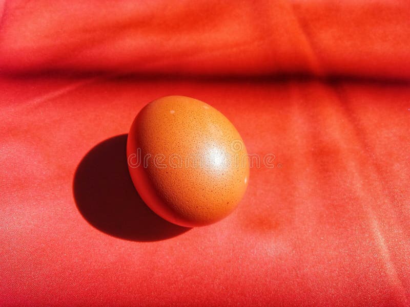 A Chicken Egg with Orange Background and Its Shadow Stock Photo - Image ...