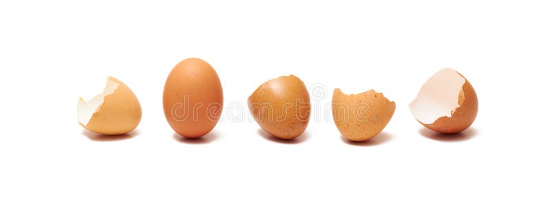 623 Intact Egg Stock Photos - Free & Royalty-Free Stock Photos from ...
