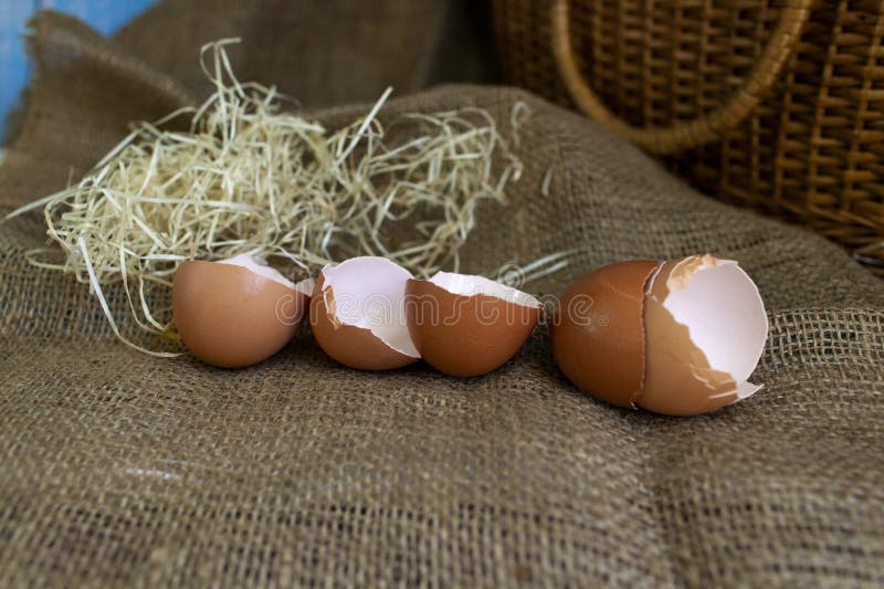 Close Up of a Stack of Egg Shells in Egg Box Stock Photo - Image of ...