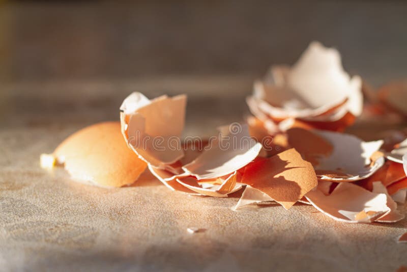 Chicken Egg Shell, Egg Cleaning on the Kitchen Table Stock Photo ...