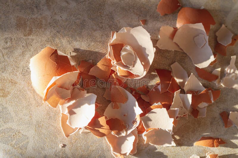 Chicken Egg Shell, Egg Cleaning on the Kitchen Table Stock Photo ...