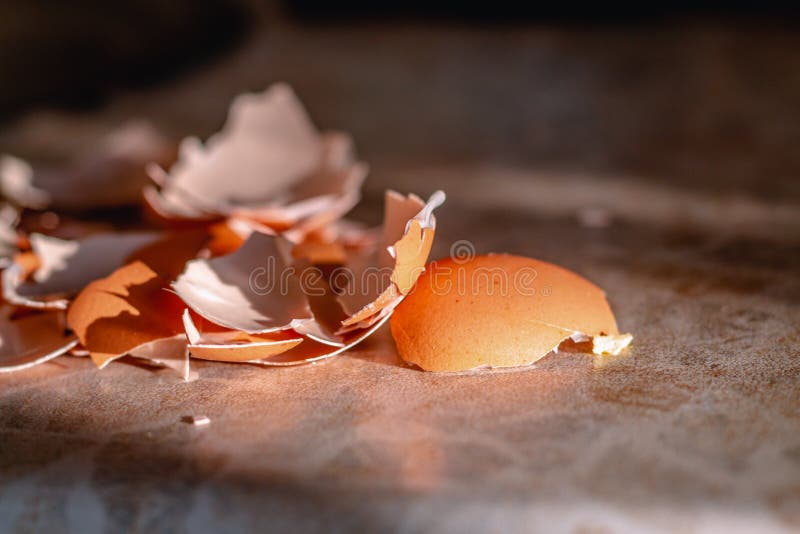 Chicken Egg Shell, Egg Cleaning on the Kitchen Table Stock Photo ...