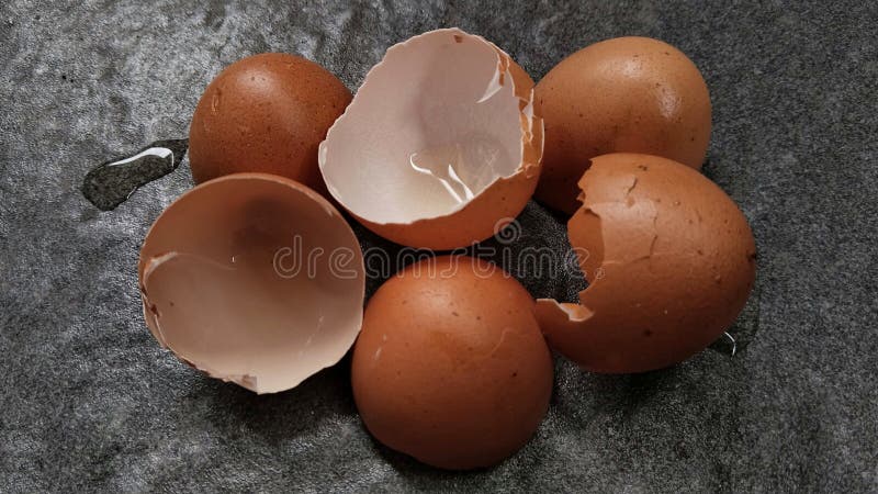Chicken Egg Shell stock image. Image of shell, damage - 352057453