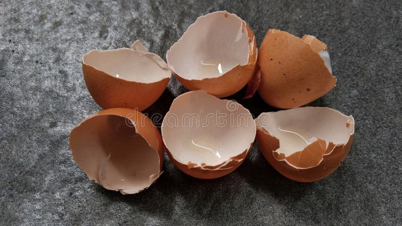 Chicken Egg shell stock photo. Image of shell, functions - 352057598