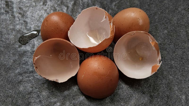 Chicken Egg Shell stock photo. Image of chicken, damage - 352057606