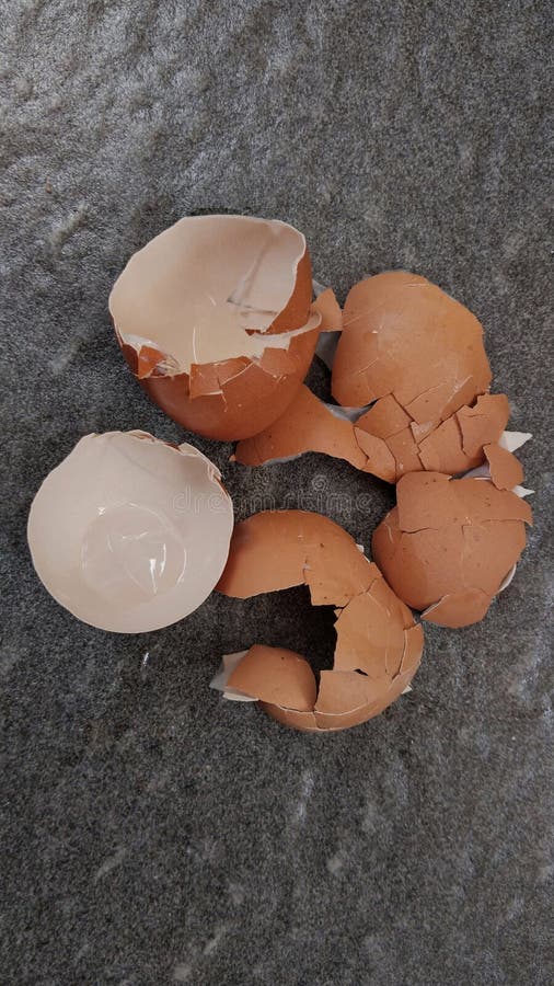 Chicken Egg Shell stock photo. Image of protect, inside - 343691192