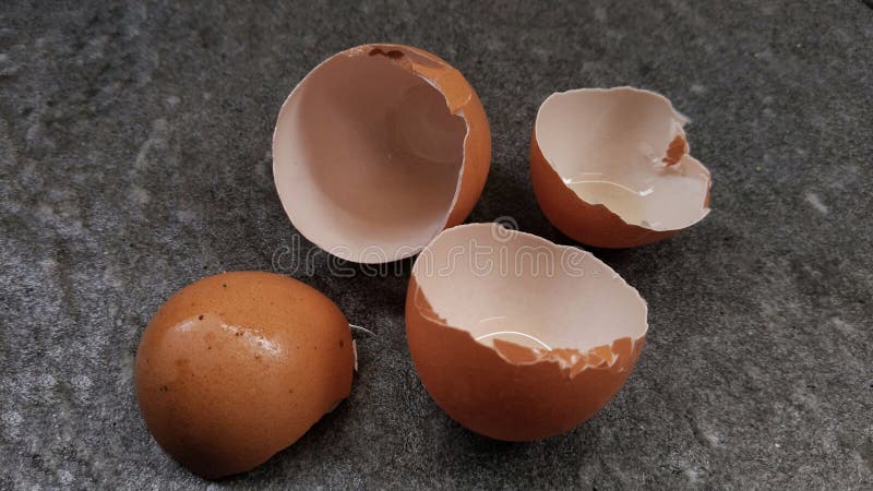 Chicken Egg Shell stock photo. Image of outermost, soft - 348416704