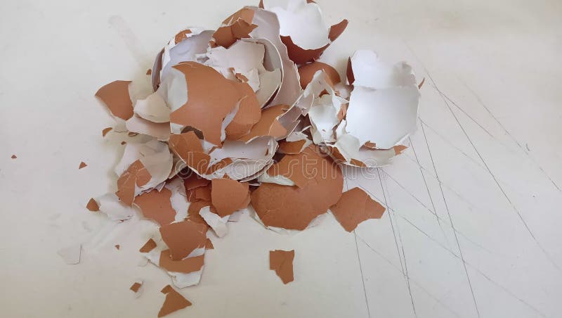 Chicken Egg Shell, the Outside is Brown and the Inside is White Stock ...