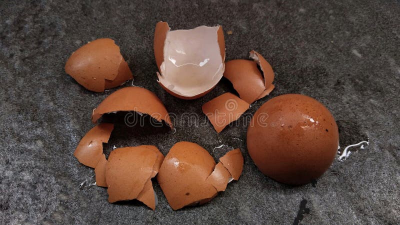 Chicken Egg Shell stock photo. Image of protein, carbonate - 348851284