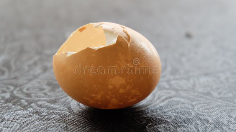 Chicken egg shells stock image. Image of oval, layer - 68669525