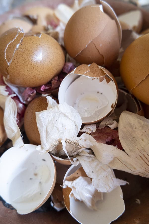 Chicken Egg Shells that Have Been Broken and Dried Stock Photo - Image ...