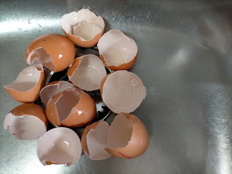 Chicken egg shells. stock image. Image of breakfast - 244182147