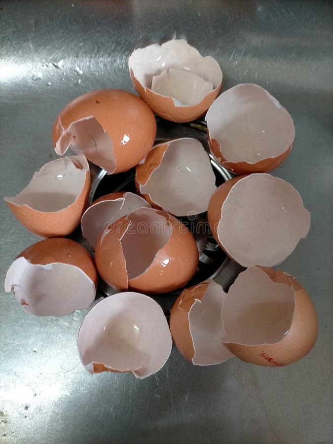 Chicken egg shells. stock image. Image of buttercream - 244182153