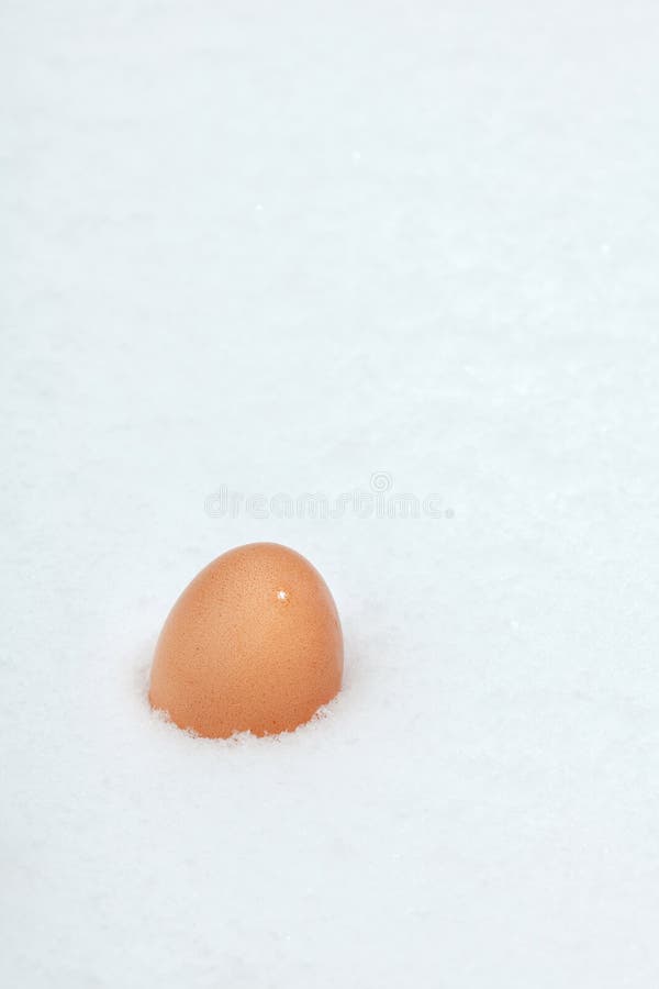 Chicken Egg in the Snow. a Modern Composition about Village Life Stock ...