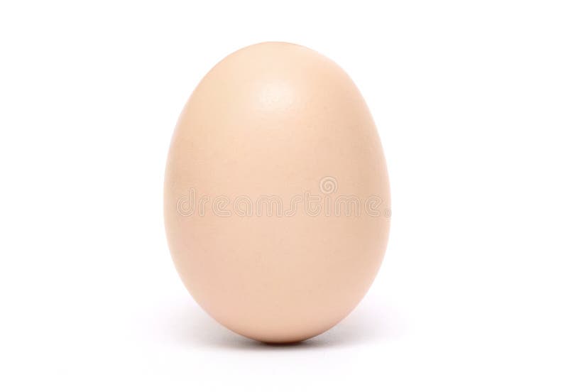 Chicken Egg in a Vertical Position on a White Isolated Background ...