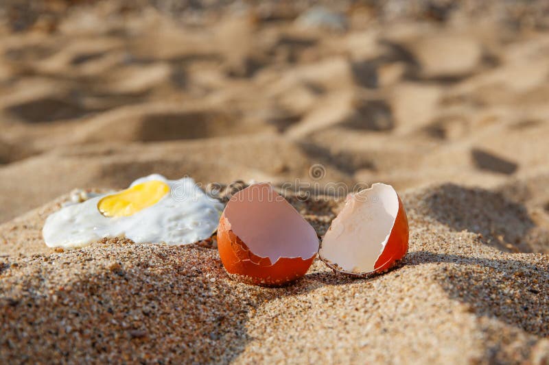 A Chicken Egg Was Fried in the Sand. Hot Weather on the Beach Stock ...