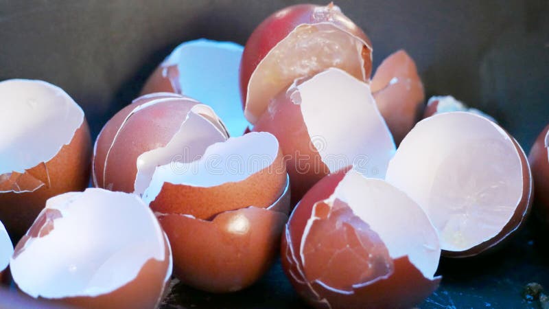 Chicken egg shell stock image. Image of flow, area, fiber - 138362669