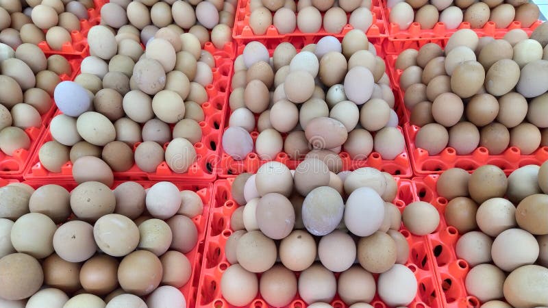 Chicken Eggs on Display in the Market Stock Photo - Image of meal ...