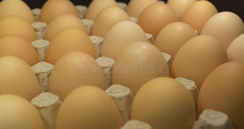 Chicken Eggs in Egg Tray. Fresh Yellow Chicken Eggs Stock Video - Video ...