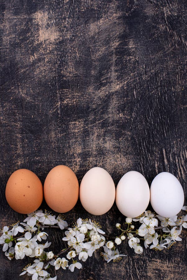 Chicken Eggs Gradient from Light To Dark Stock Image - Image of color ...
