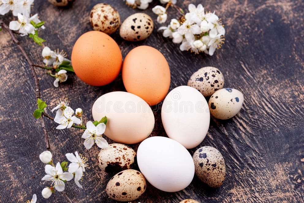 Chicken Eggs Gradient from Light To Dark Stock Photo - Image of ...